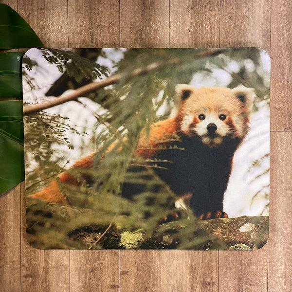 Red Panda Mouse Pad - Cute Office Desk Accessory for Animal Lovers ...